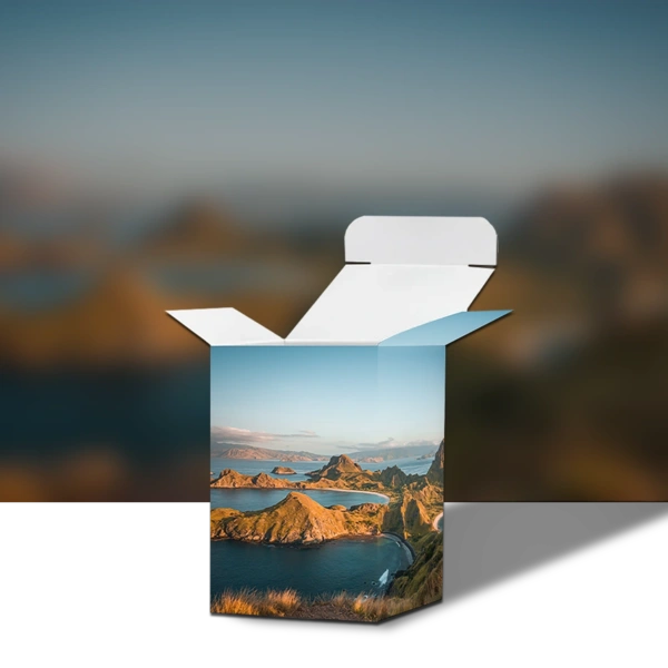 Crash Lock Promotional Boxes | Ditto 4 Design